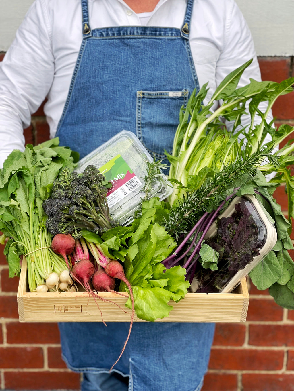 CIBI x Ramarro Farm Veggie Box -CIBI